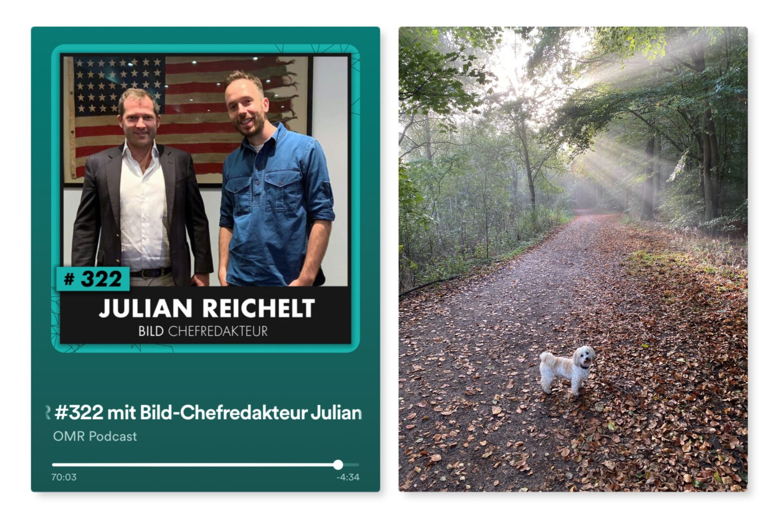 Tag63 Gehört die BILD in den OMR Podcast? - educationaldiaries